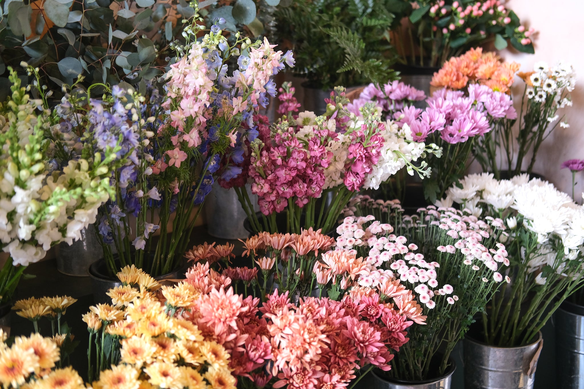 About Us – Amelia's Flowers